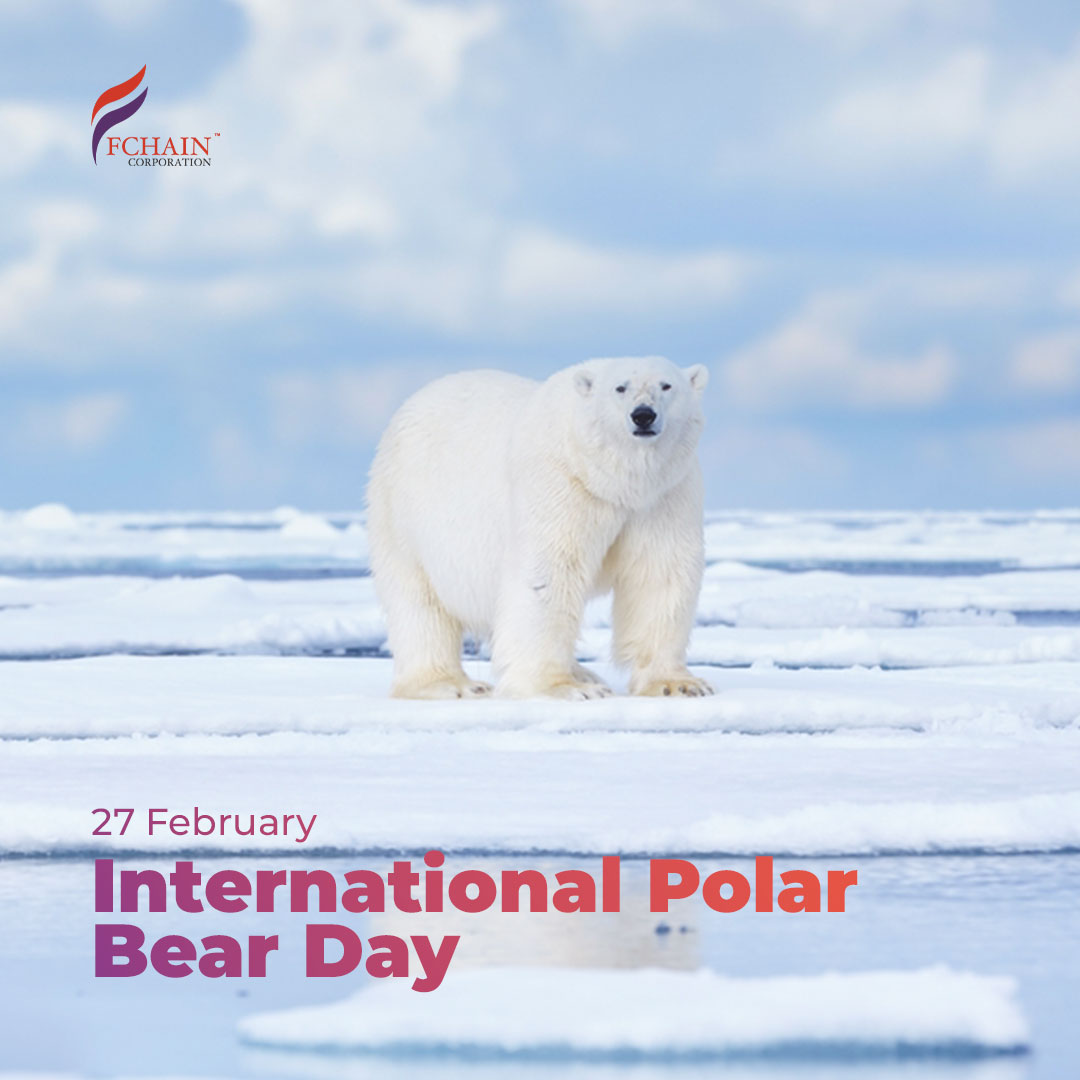 International Polar Bear Day: Raising Awareness for Arctic Giants
